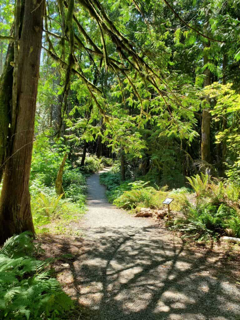 Seattle to North Cascades National Park Day Trip Itinerary
